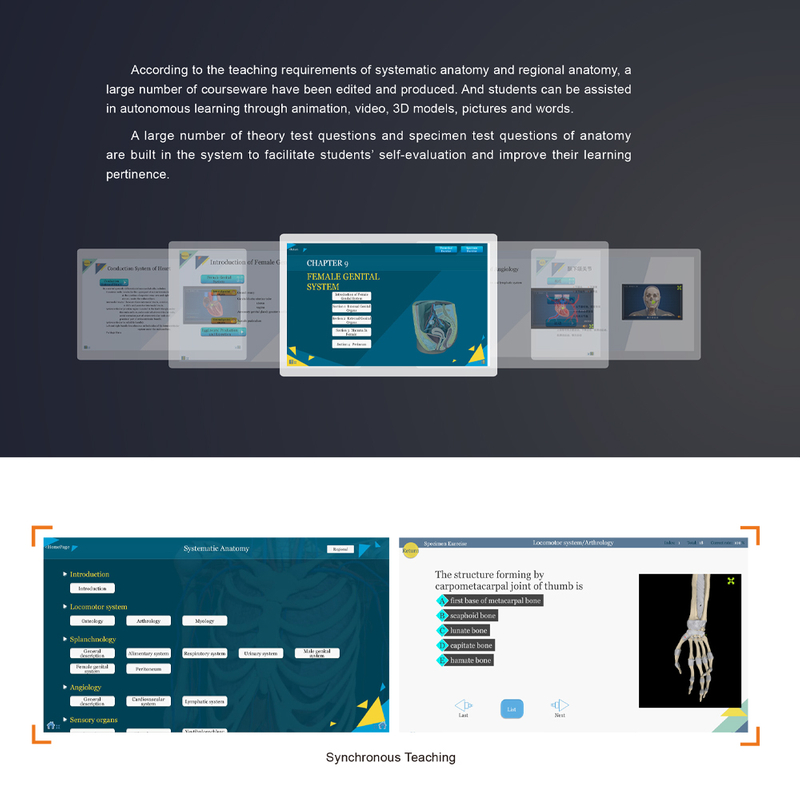 Touch Screen Human Virtual 3d Anatomy Dissection Table Anatomy Table ...
